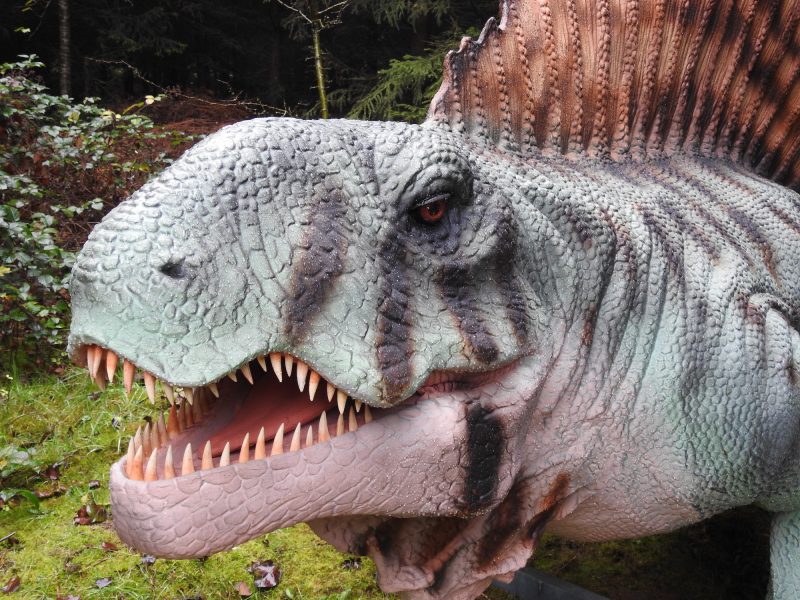 Hoo Zoo and Dinosaur World FAQ - Hoo Zoo and Dinosaur World